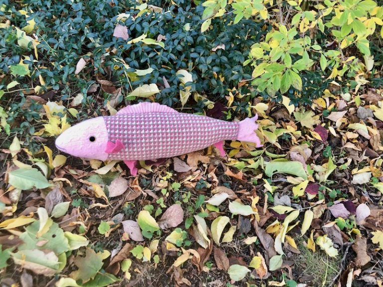 A Pink Fish! A White Fish! | Doll